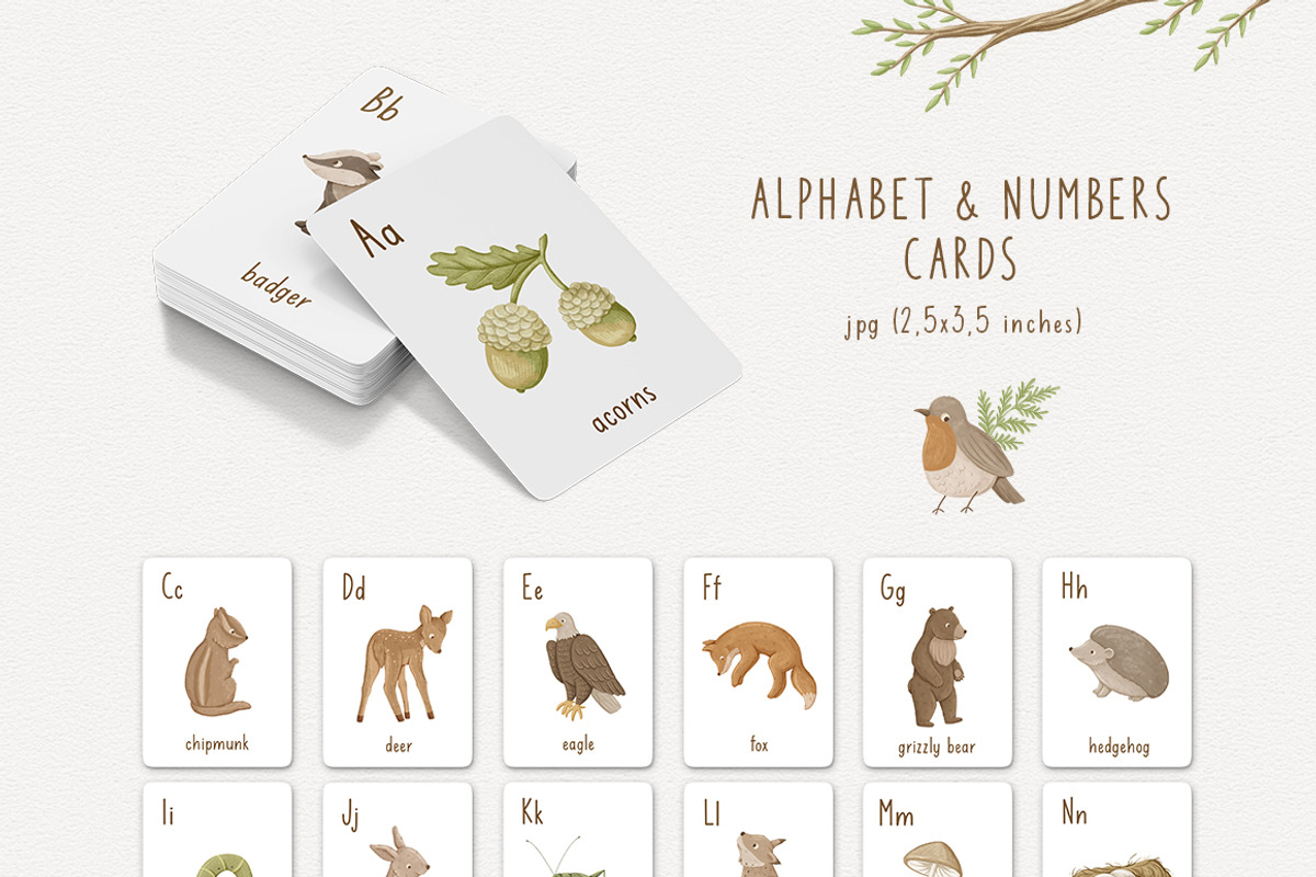 Woodland animals. Alphabet & Pattern