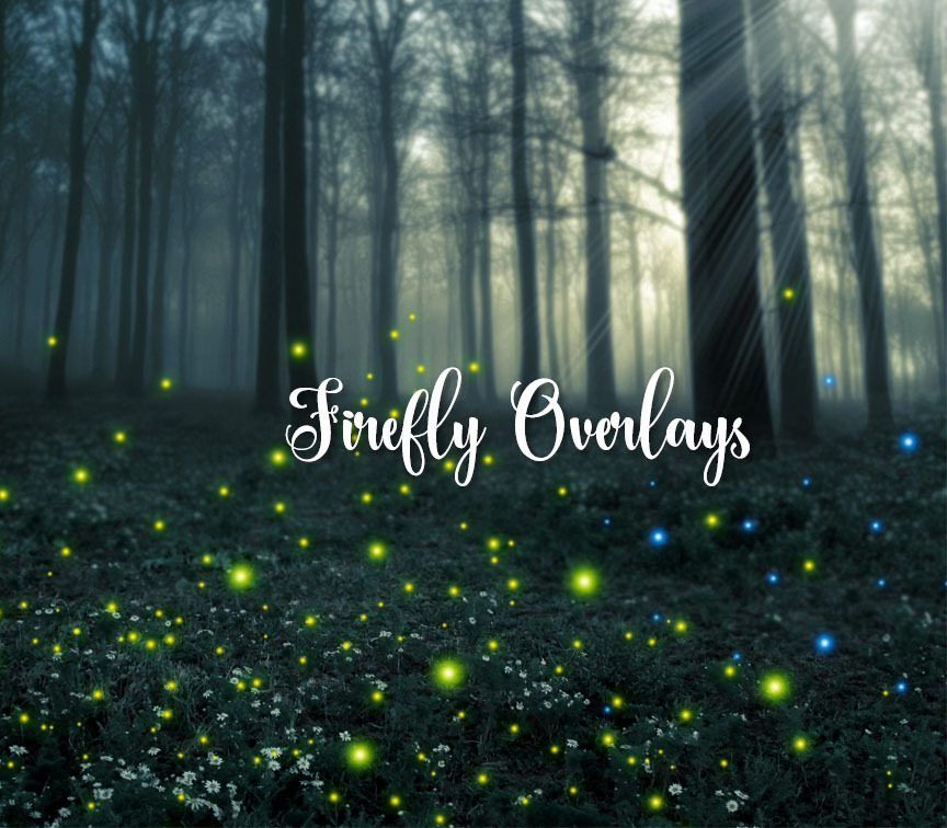 Firefly Overlays, an Object Graphic by Digital Curio