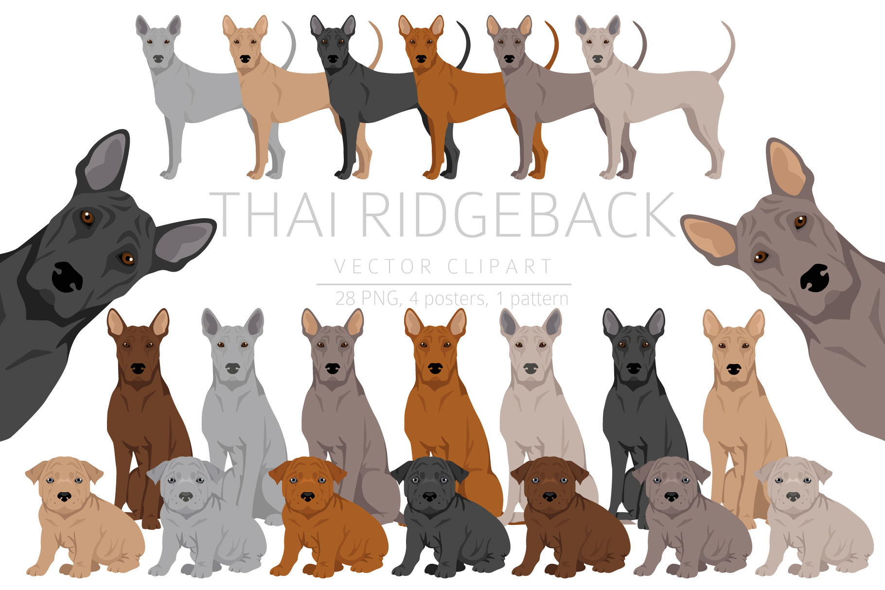 Thai Ridgeback clipart