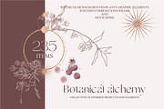 Botanical alchemy-set of illustrations