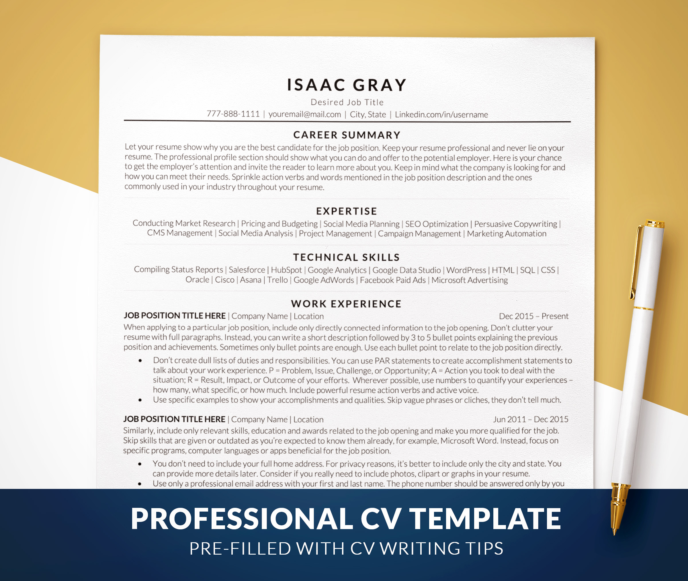 Professional ATS Ready CV Template
