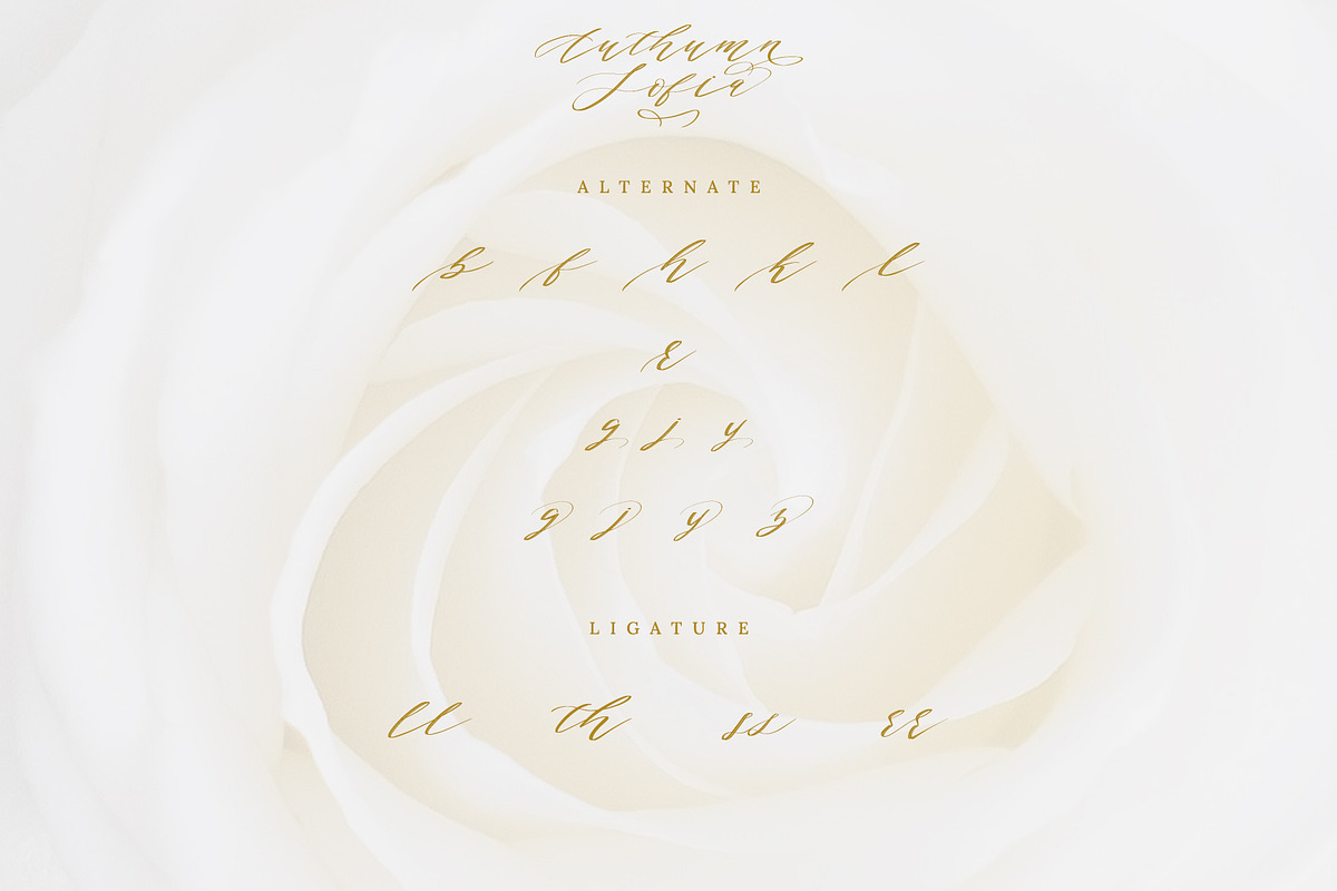 Authumn Sofia | Calligraphy Font, a Script Font by Analogous