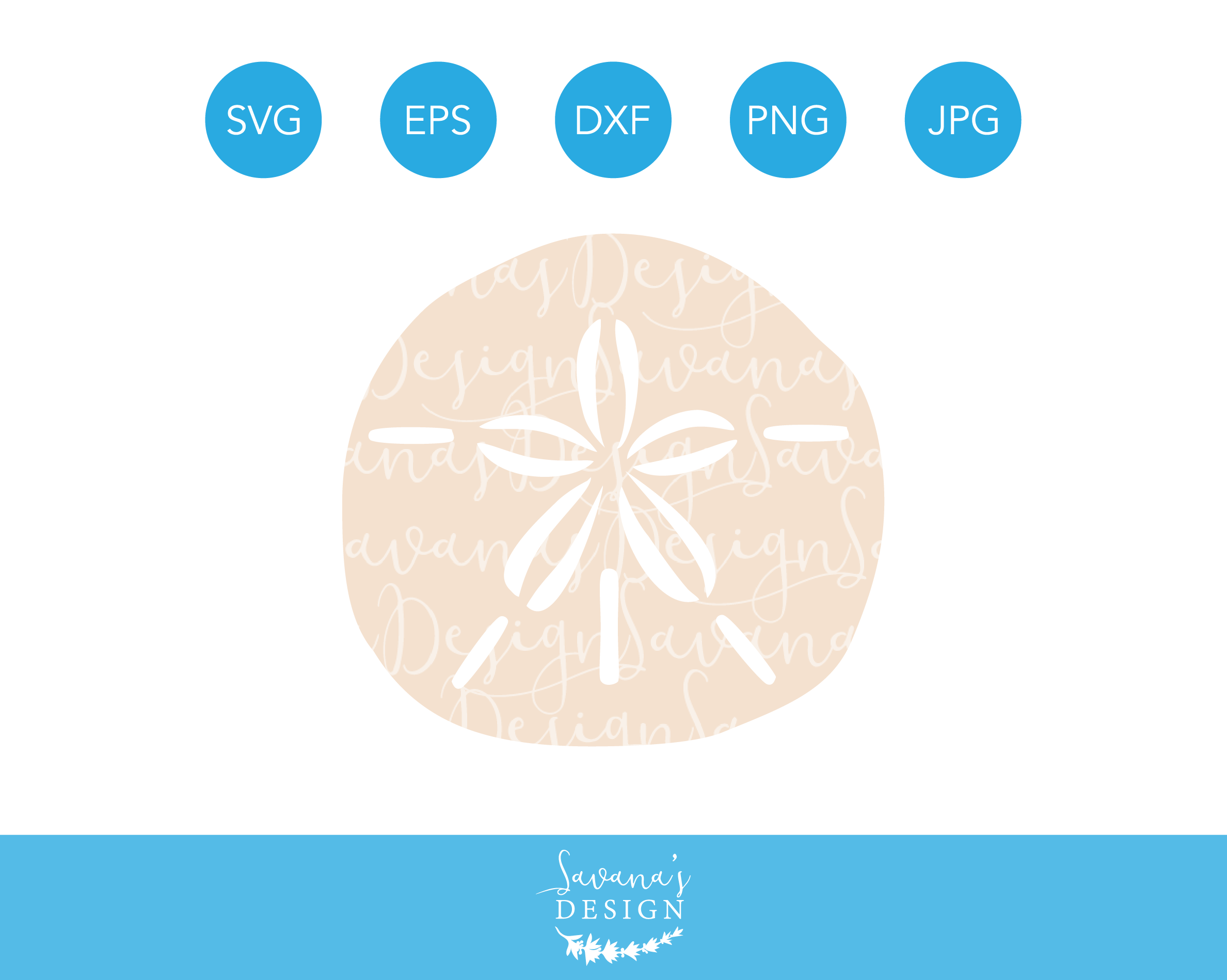 Sand Dollar SVG Beach Cutting File | Illustrations ~ Creative Market
