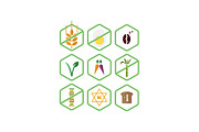Food Classification Icons, an Icon by Luxgood Creative