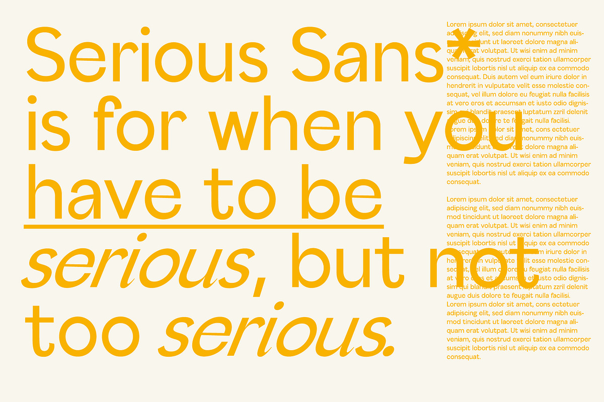 Serious Sans - Modern Typeface, a Sans Serif Font by Tropical Type
