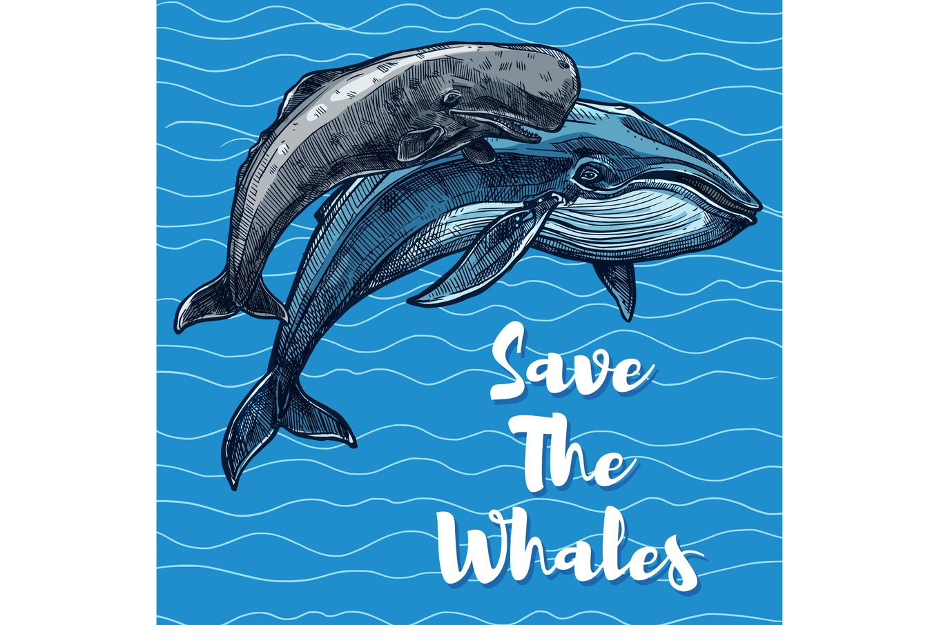 Vector poster for whales saving | Animal Illustrations ~ Creative Market