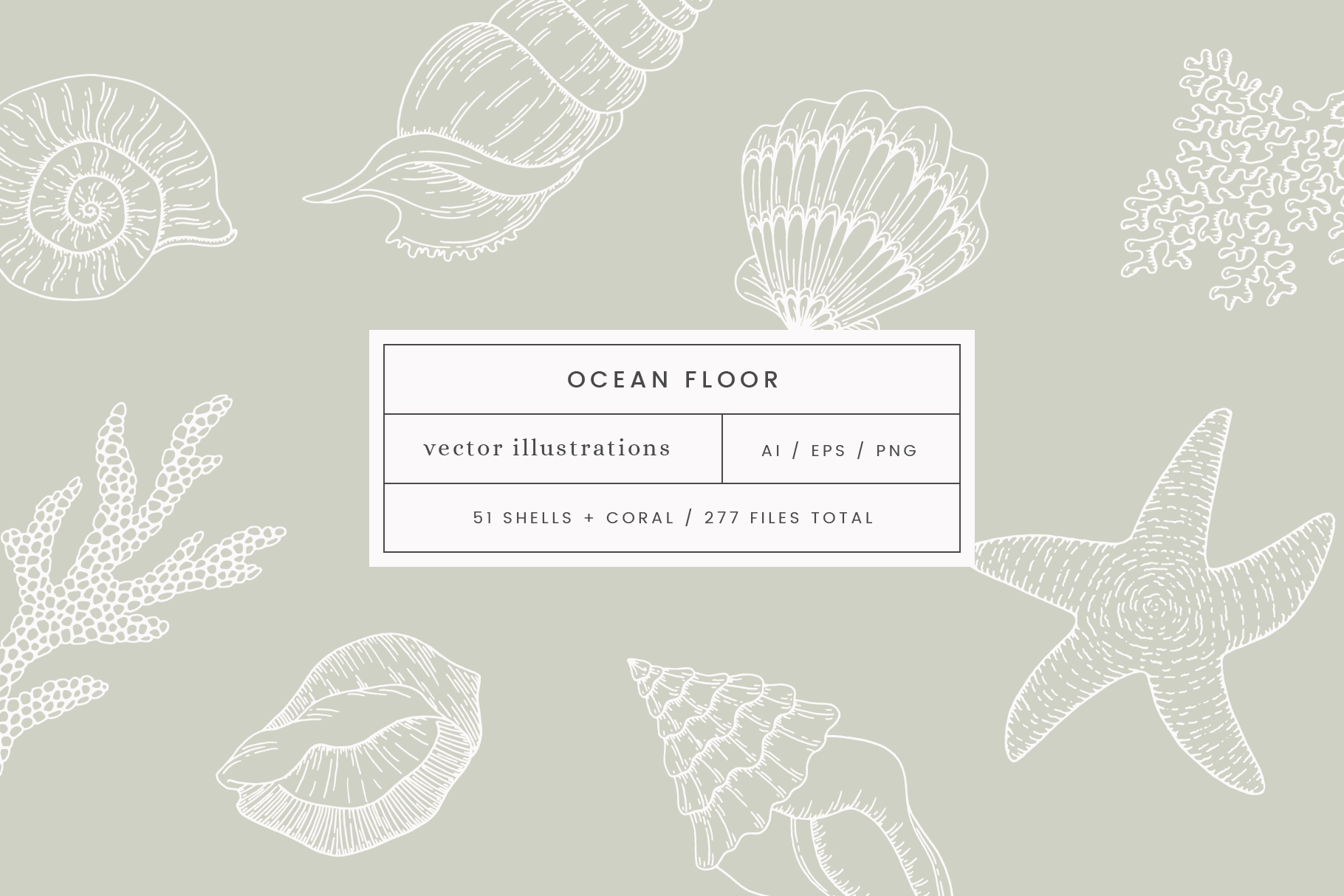 Ocean Floor Vector Illustrations, an Illustration by Emma Webb Studio