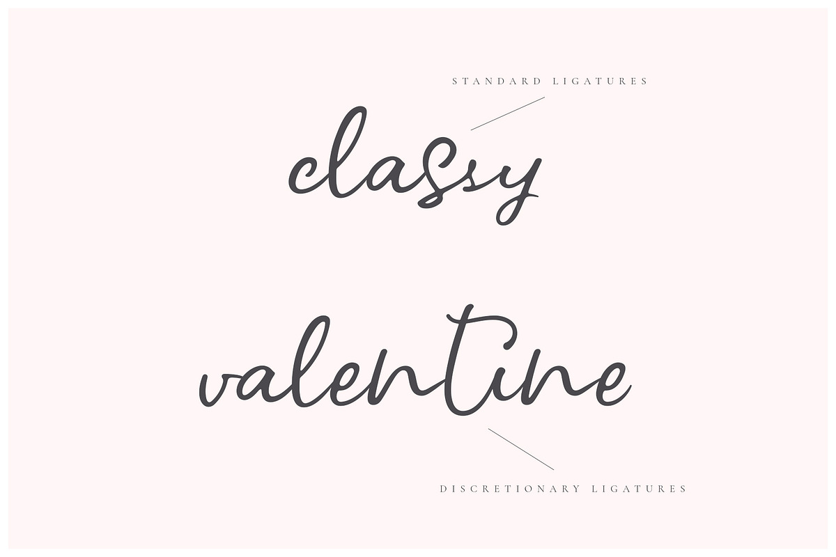 Ever After | Modern Calligraphy Font, a Script Font by Ayca Atalay