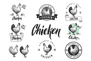 Chicken logotypes set, a Graphic by FoxyImage