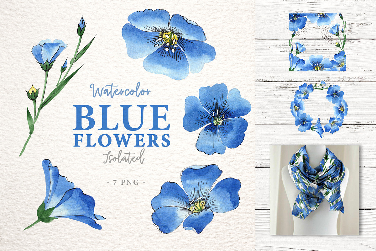 Blue flowers of flax Watercolor png, an Illustration by WatercolorPNG.com