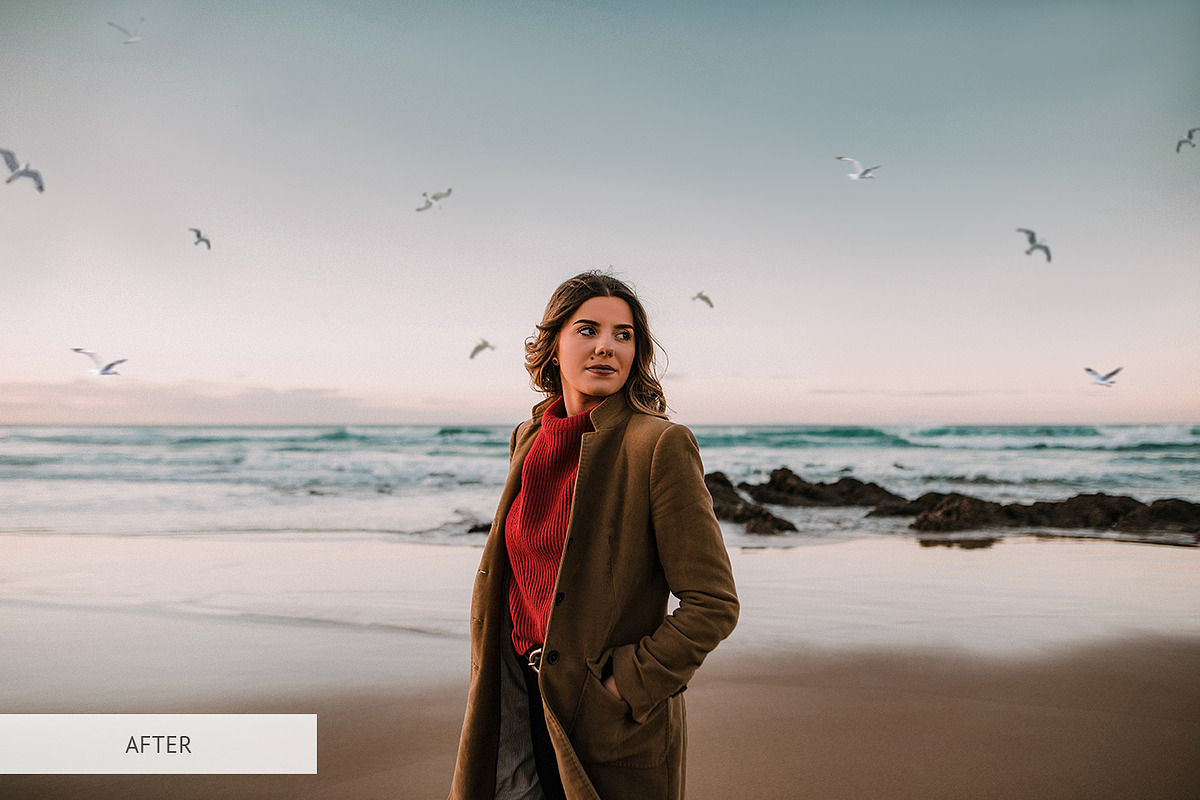 Flying Seagulls Photoshop Overlays, a Plug-in Add-On by FixThePhoto