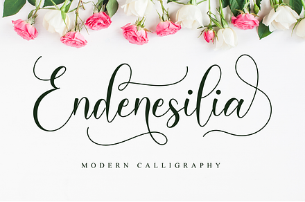 Delara Script, a Script Font by Nissa Studio