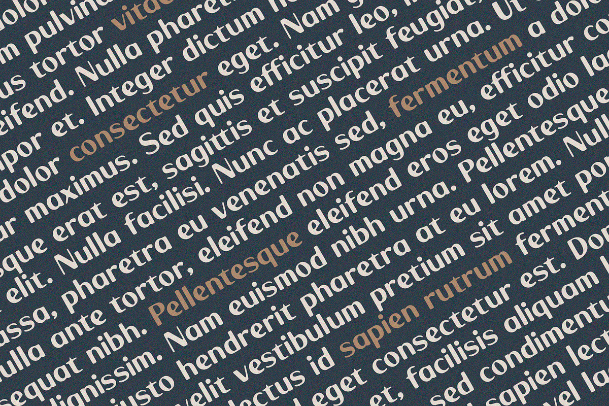 Monk - Display Font | Creative Market