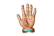 Color Male Hand Make Gesture Five | People Illustrations ~ Creative Market