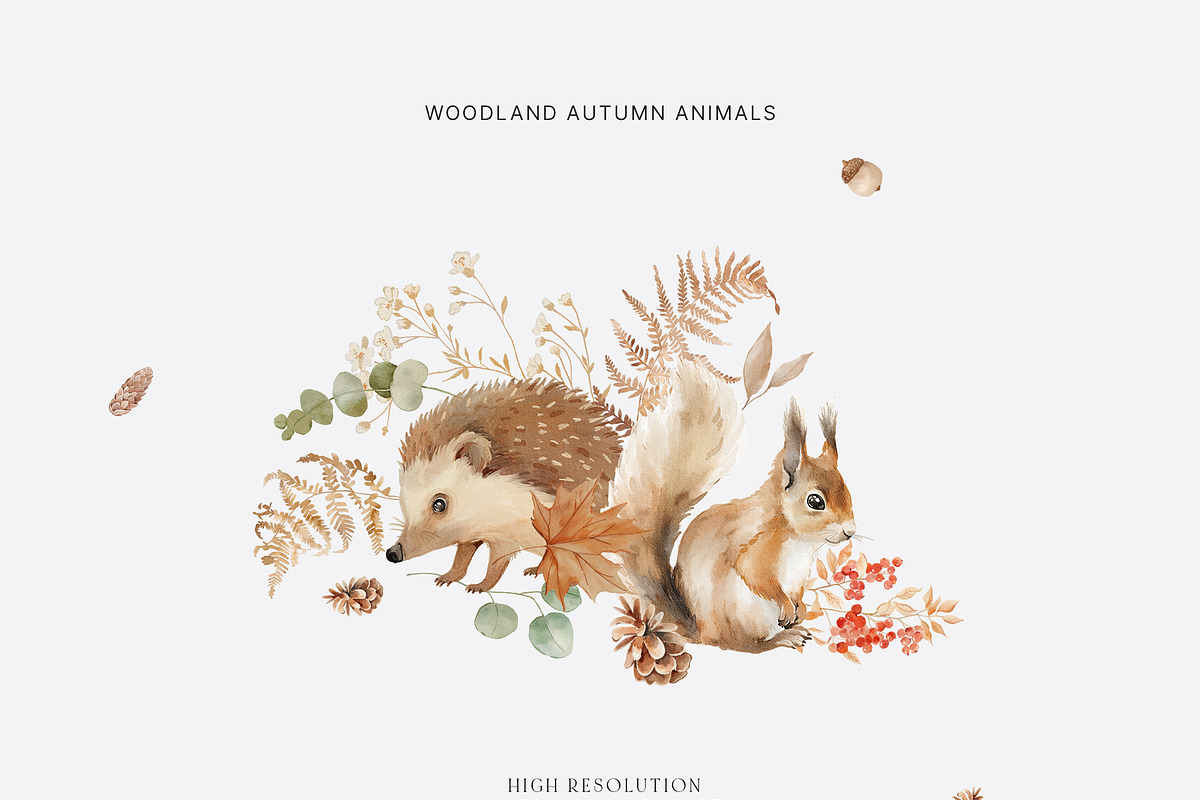 AUTUMN FRIENDS Woodland Animals