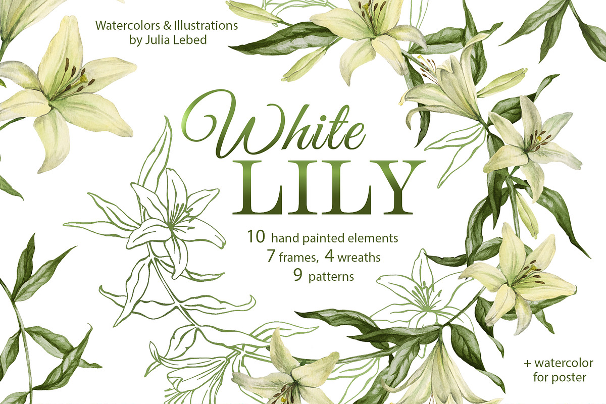 White Lily collection, a Graphic by L- design studio