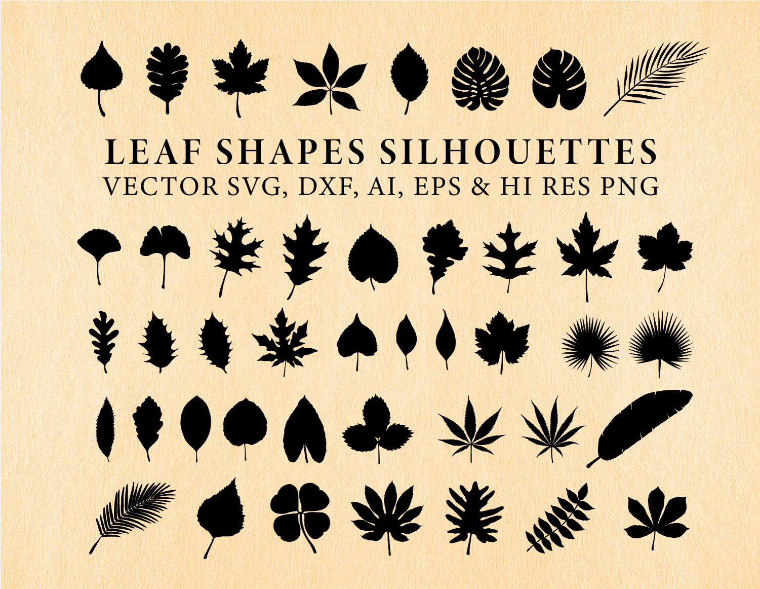 Leaf, Leaves Shapes Vector Pack, an Illustration by Seaquint