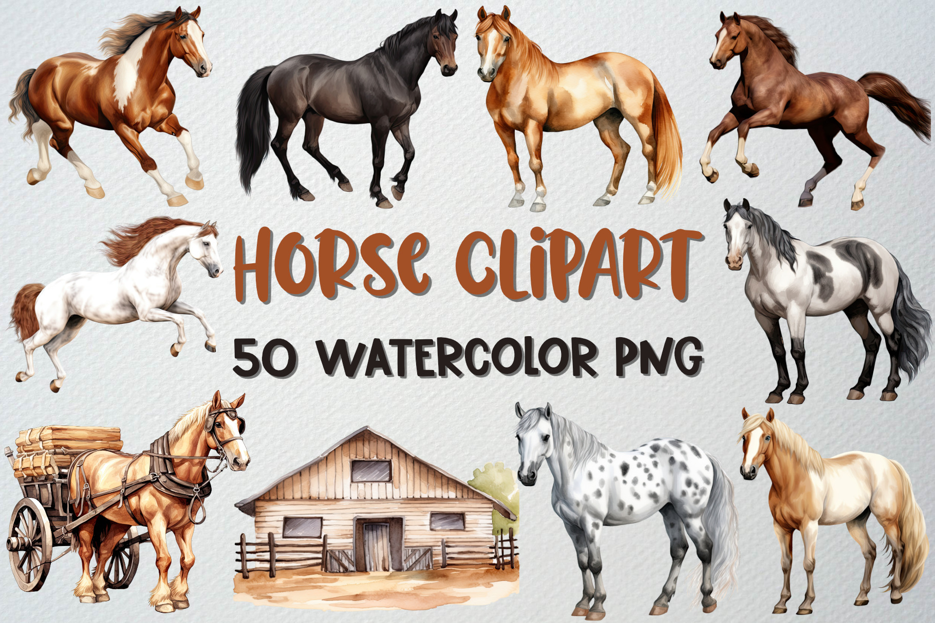 Watercolor Horse Clipart Set, 50 PNG