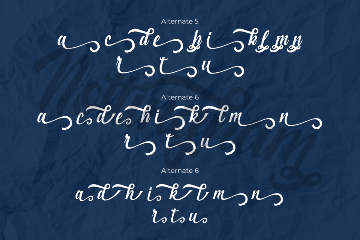 Nottingham script, a Script Font by Ginart
