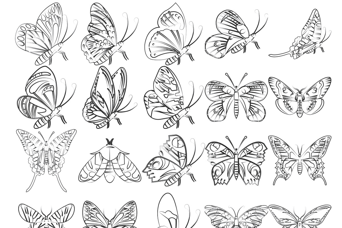 Butterflies Set 1-5 Procreate Brush, a Brush Add-On by Disasterology Ink