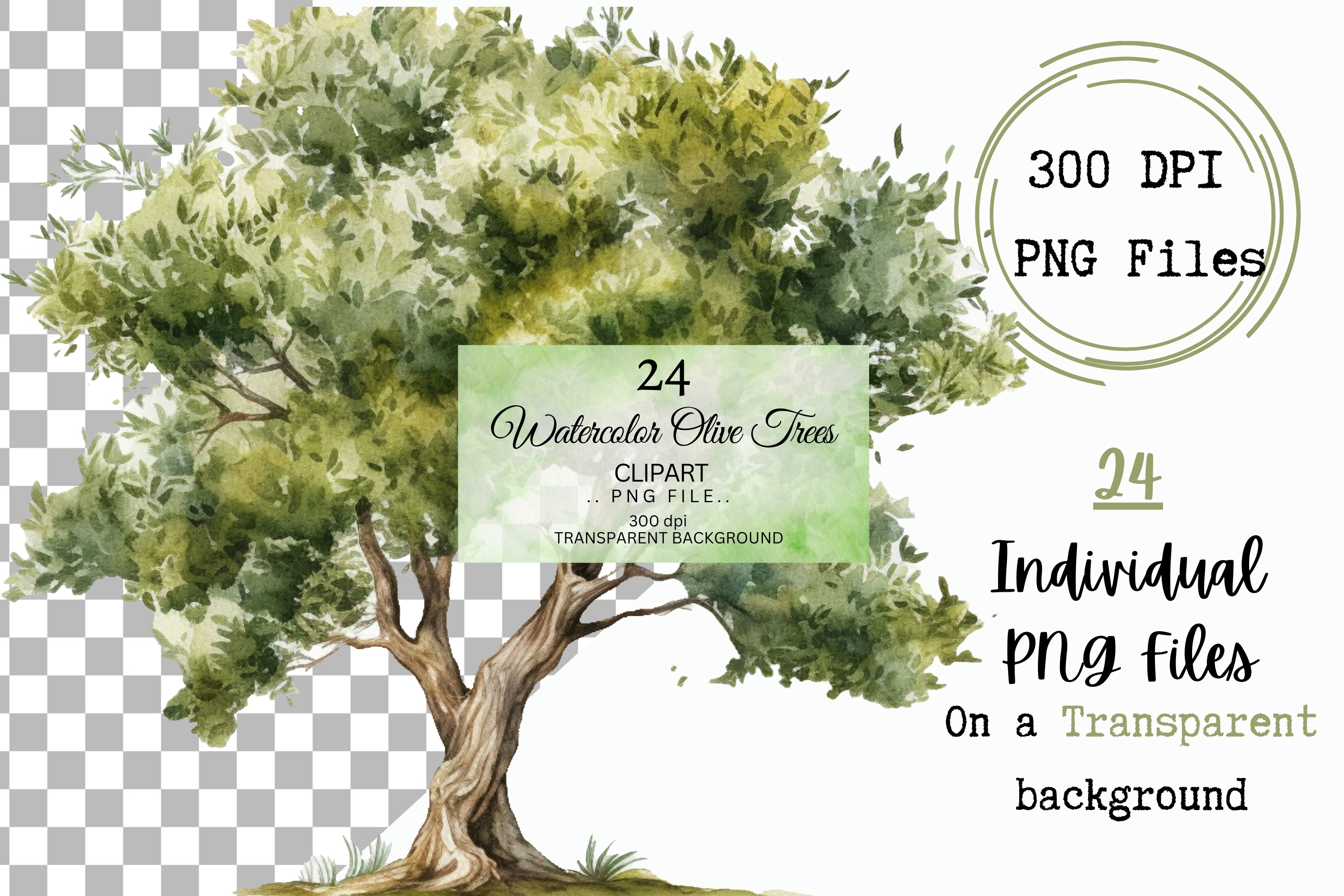 Watercolor Olive Trees Clipart, an Illustration by NiiiNArt