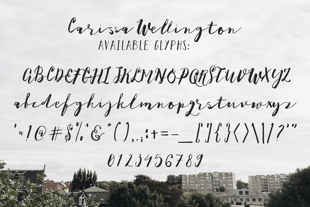Carissa Wellington Script, a Script Font by BlueRobinDesignShop
