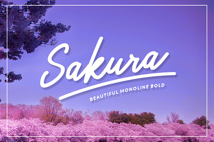 Sakura Font Set, a Script Font by ShowUp! Studio