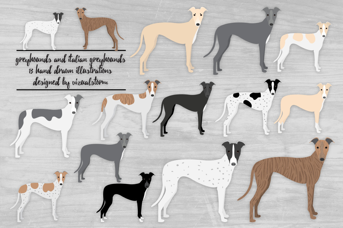 Greyhound & Italian Greyhound Dogs, an Illustration by VizualStorm