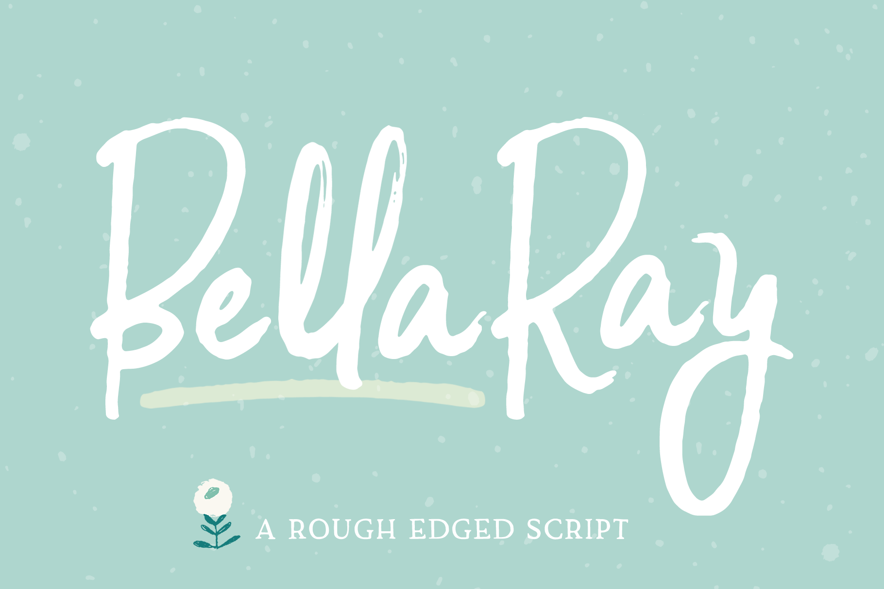Bella Ray Script, a Script Font by Denise Chandler