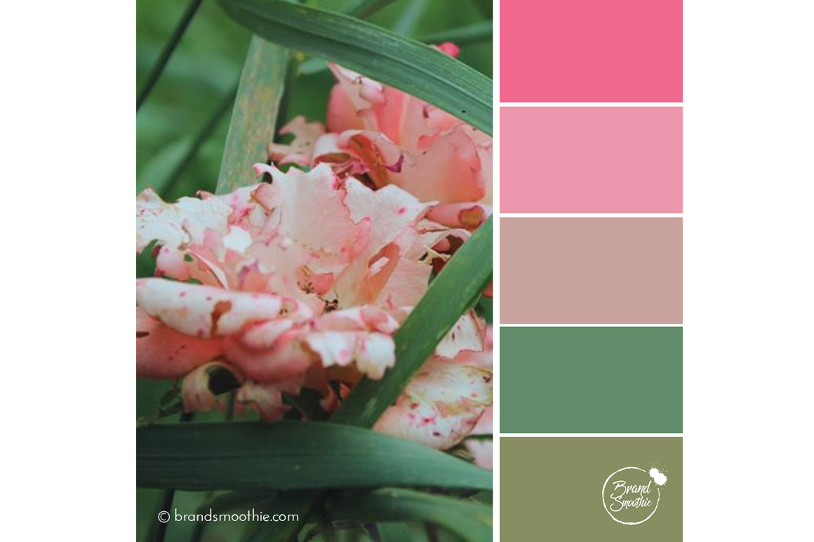 Rose Blush Color Palette | Graphics ~ Creative Market