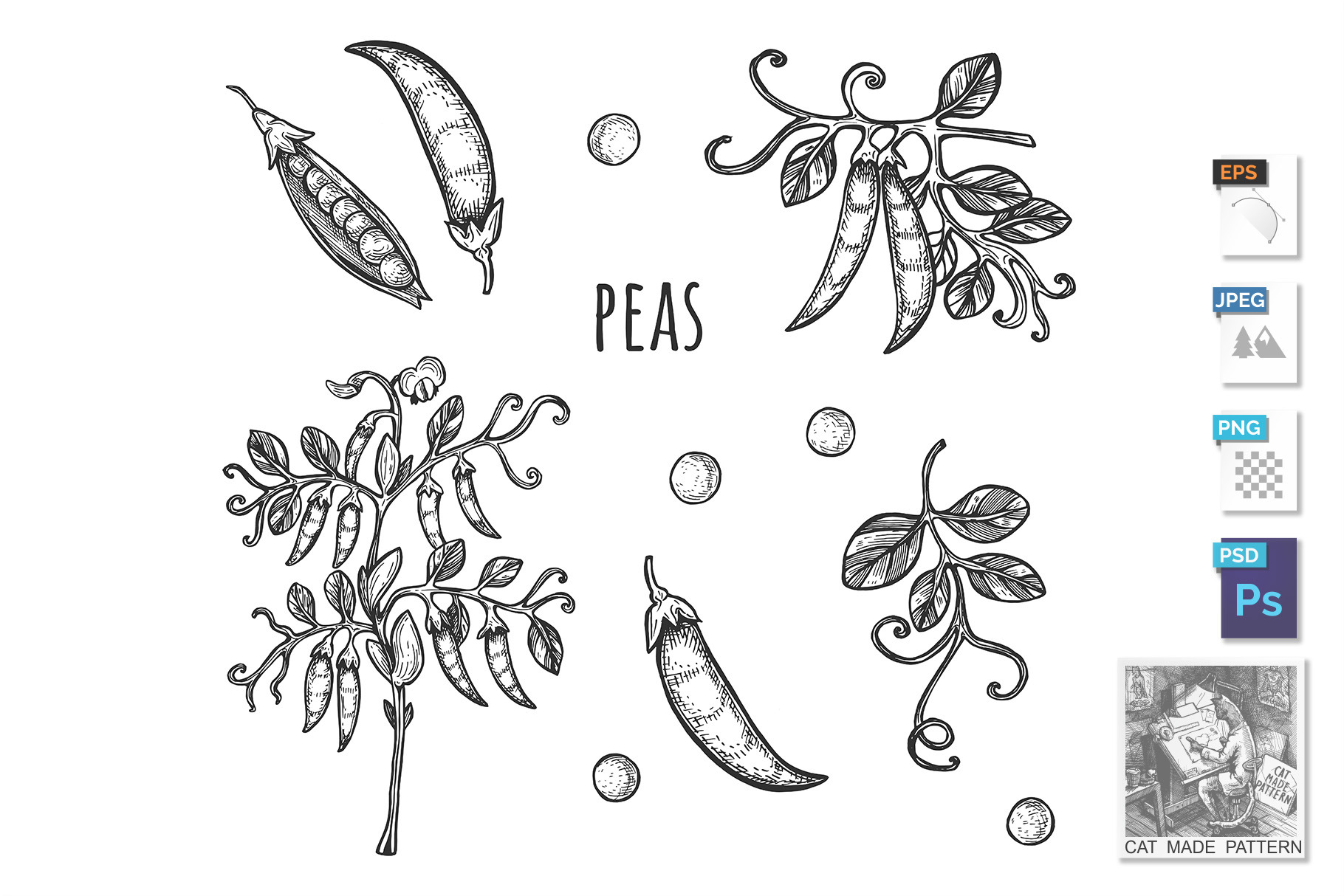 Peas plant and beans farm set, a Food Illustration by CatMadePattern