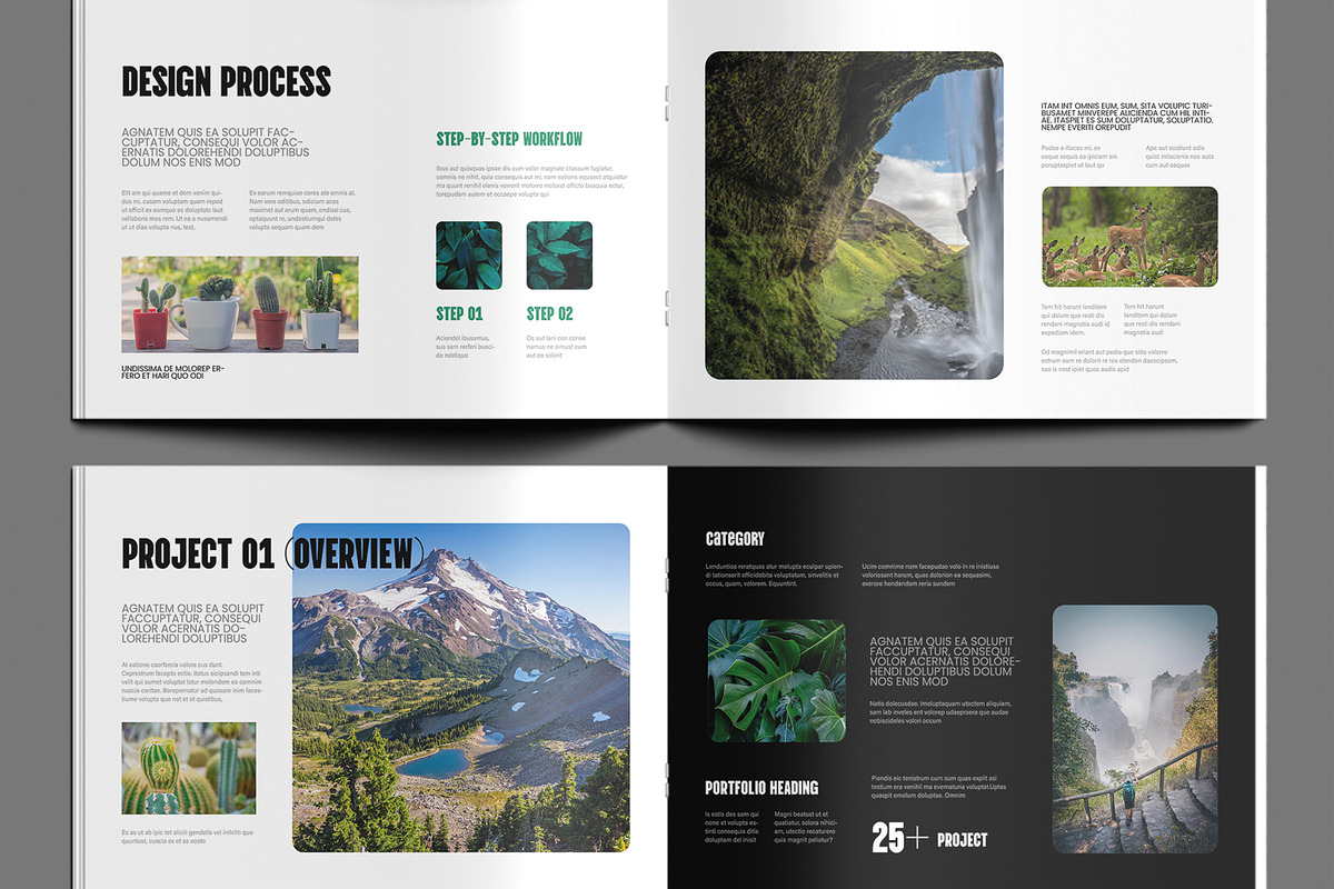 Professional Photography Portfolio