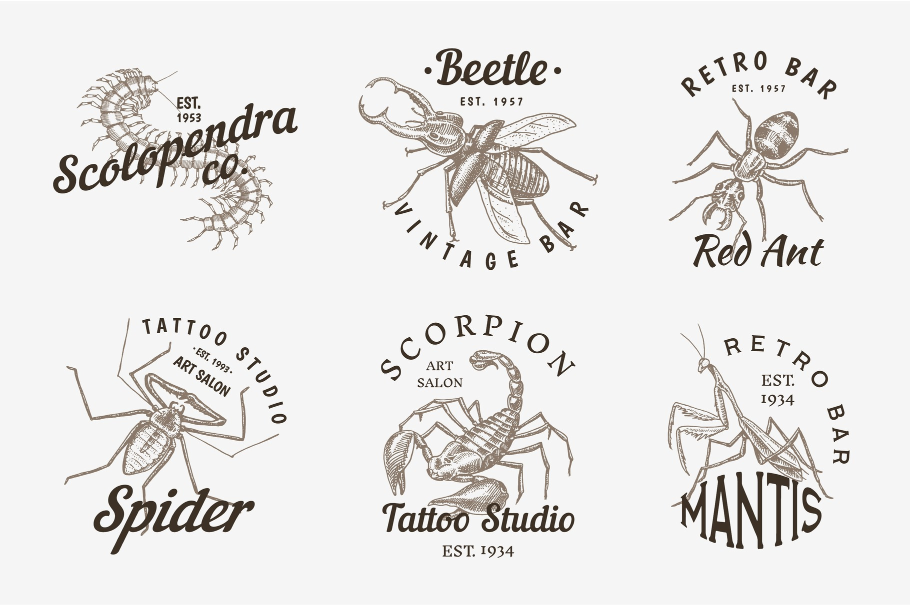 Set of insects logos. Vintage | Animal Illustrations ~ Creative Market
