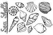 Sea shell monochrome line art vector, a Decorative Illustration by Art ...