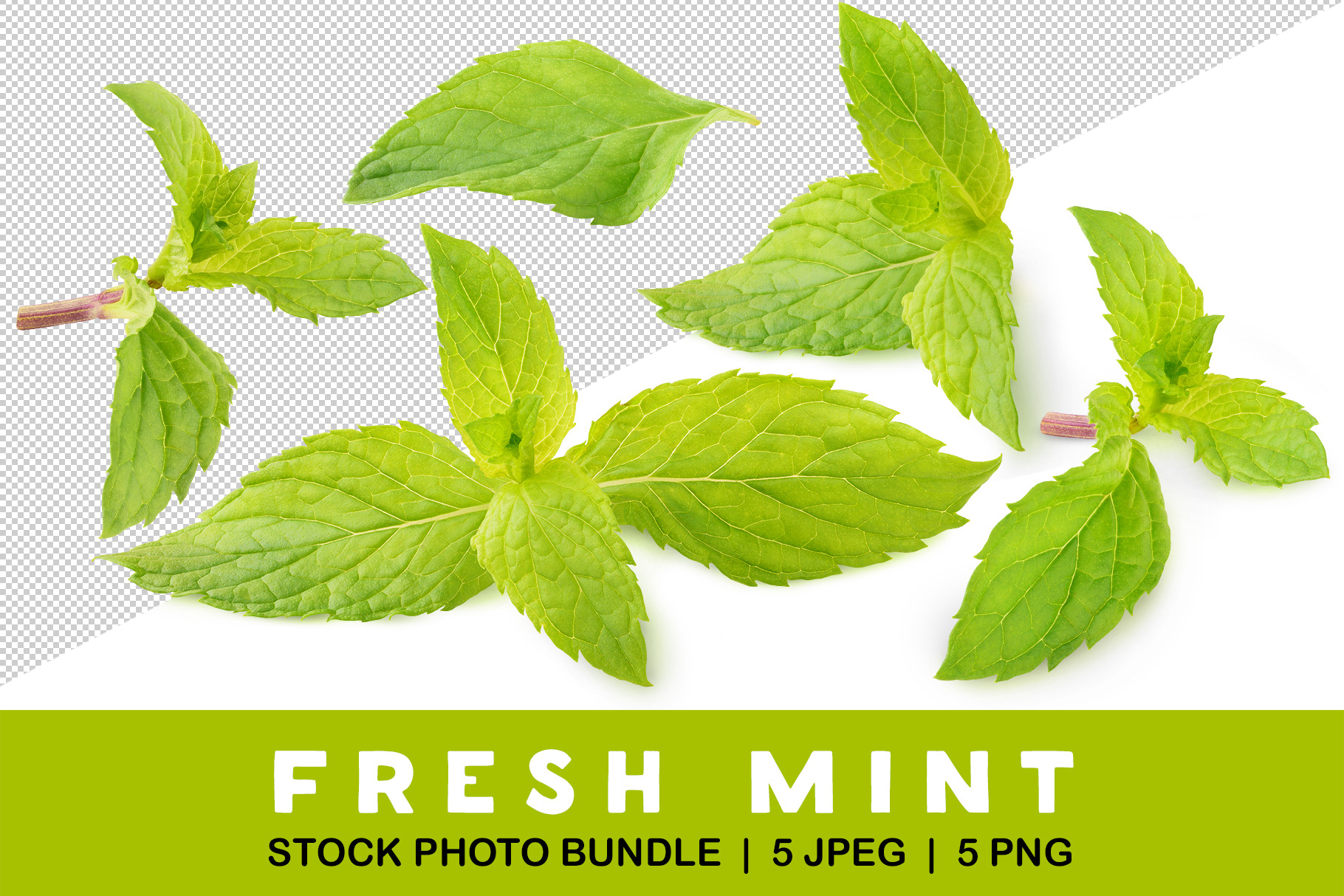 Mint leaves collection, an Object Graphic by Fruits+Veggies