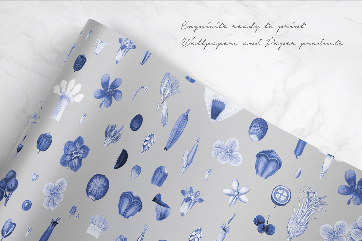 POLYCOT Exquisite collectibles!, a Pattern Graphic by TSTUDIO