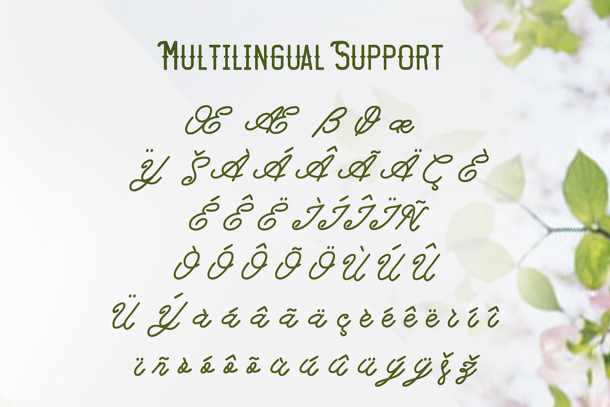 Anthalucya vintages monoline font, | Creative Market