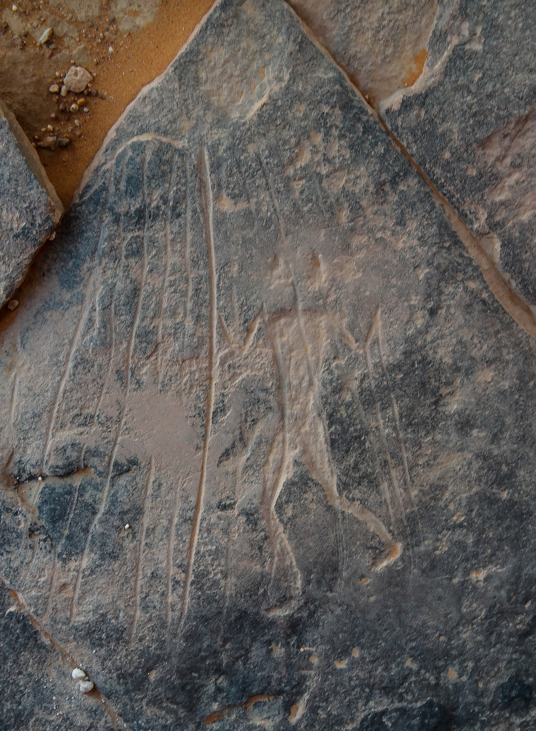 man - Cave paintings and petroglyphs, an Architecture Photo by Wild, Wild World