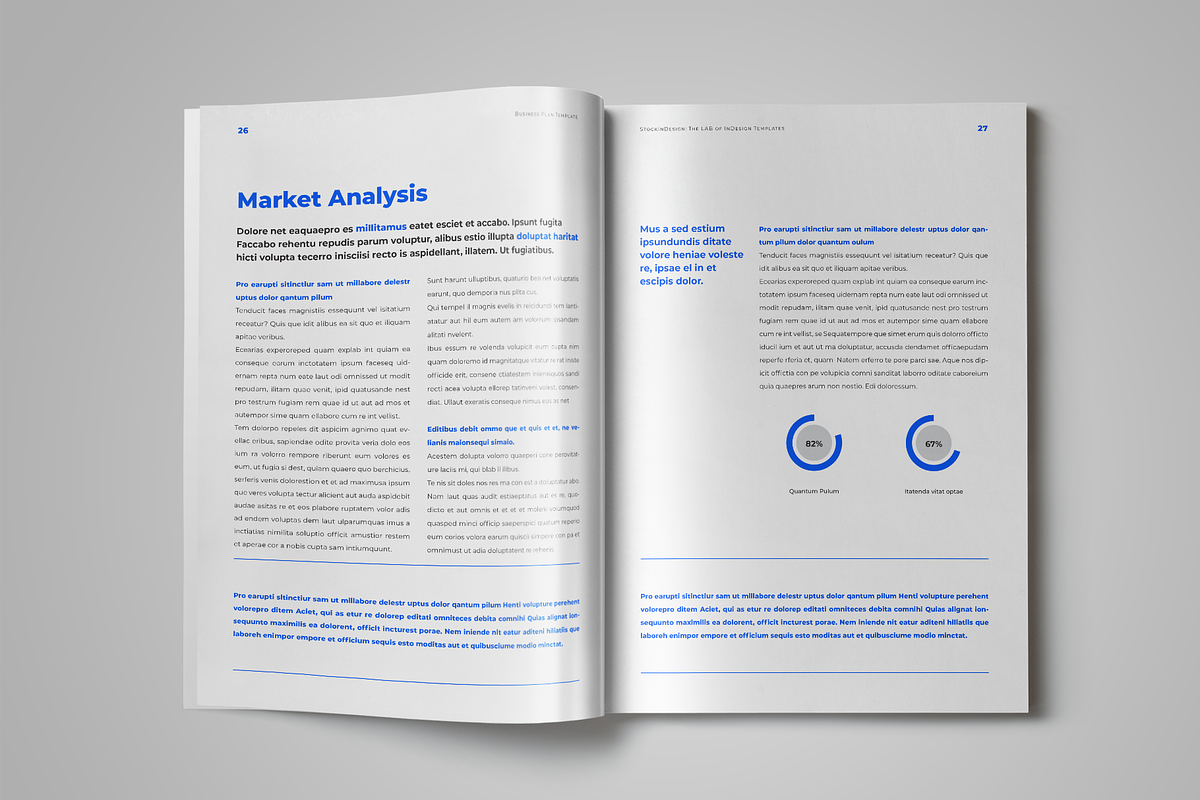 White Paper Template, a Brochure Template by StockInDesign