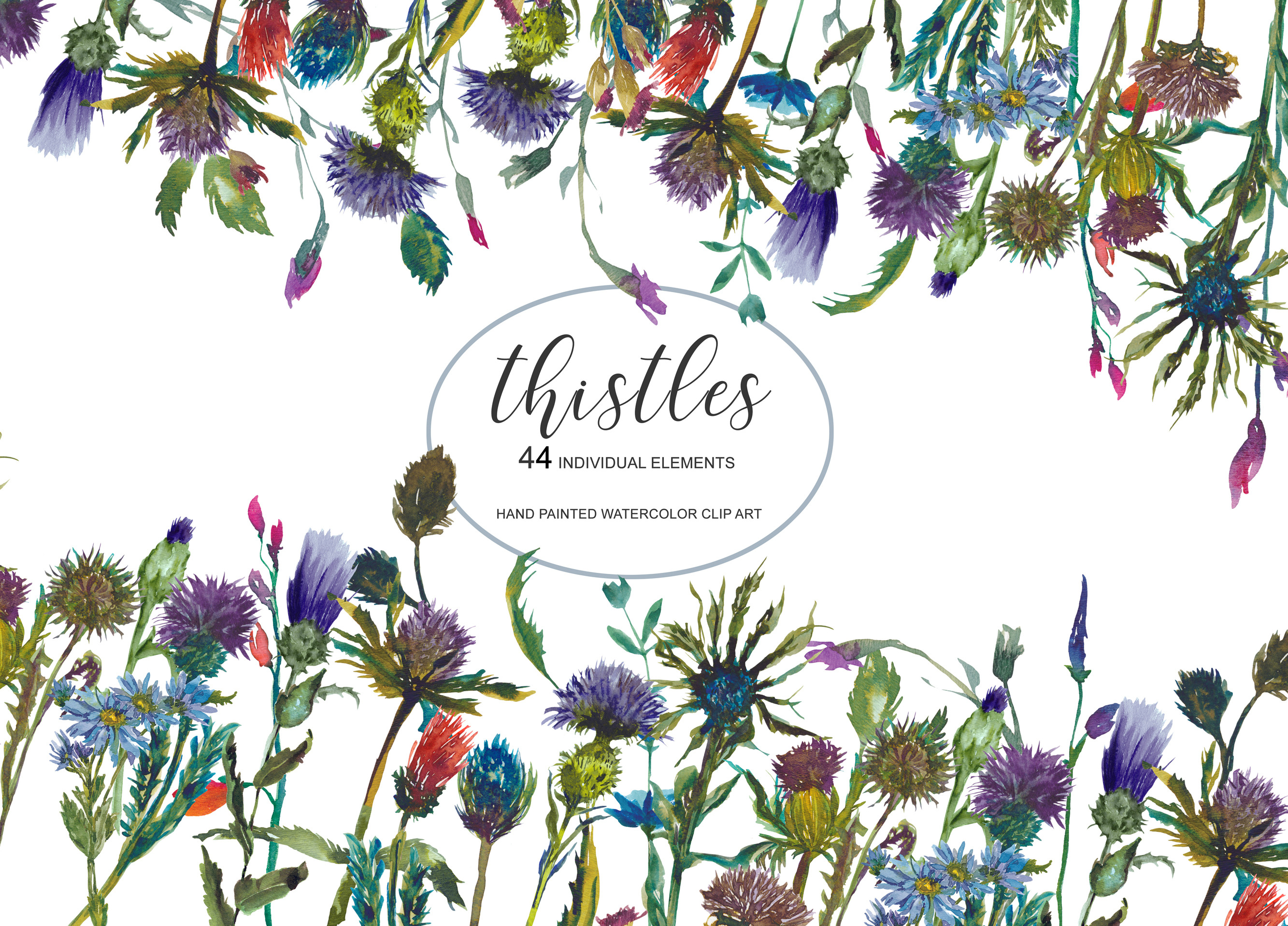 Watercolor Thistle Clip Art Set | Illustrations ~ Creative Market