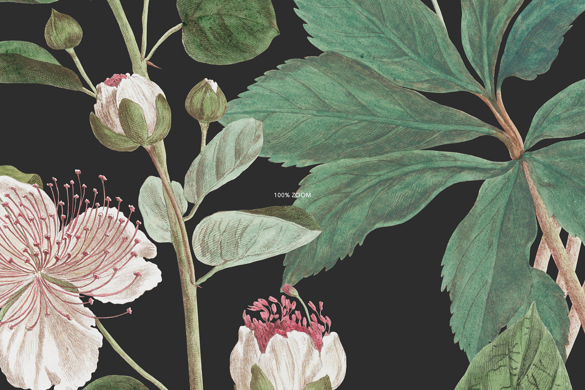 Botanical Floral English Pattern, an Illustration by likorbut
