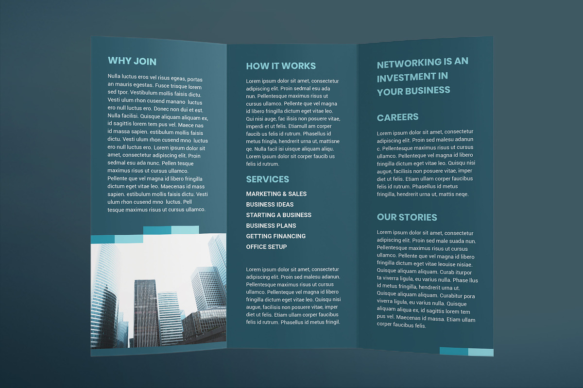 Business Networking Brochure Trifold, a Brochure Template by TemplatesNow!
