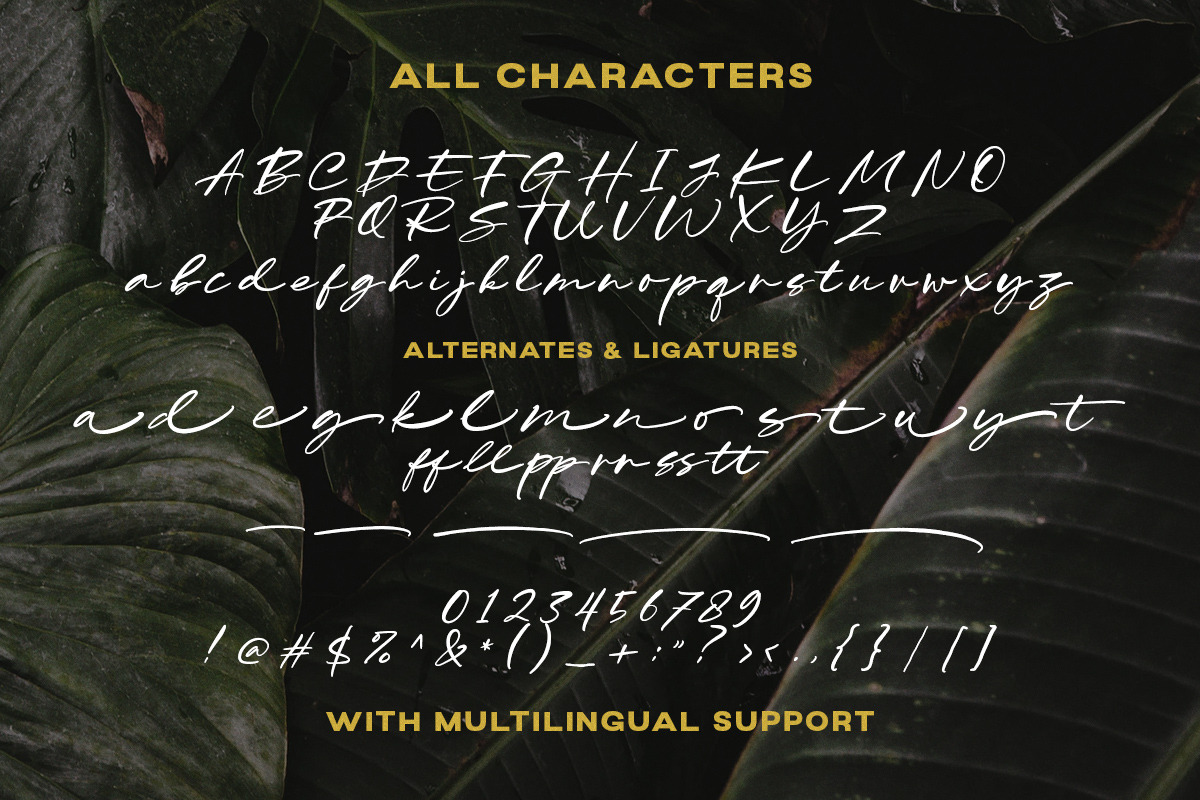 Grand Wilson - Font Duo, a Sans Serif Font by Letterhend Studio ...