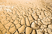 Dry ground containing ground, dry, and desert | Nature Stock Photos ...