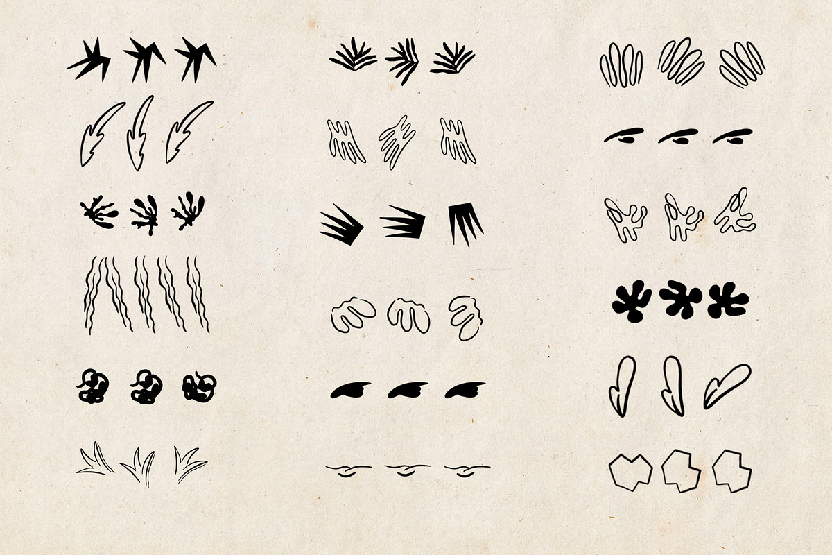 Matisse Photoshop Brushes & Patterns, a Brush Add-On by Peolla ...