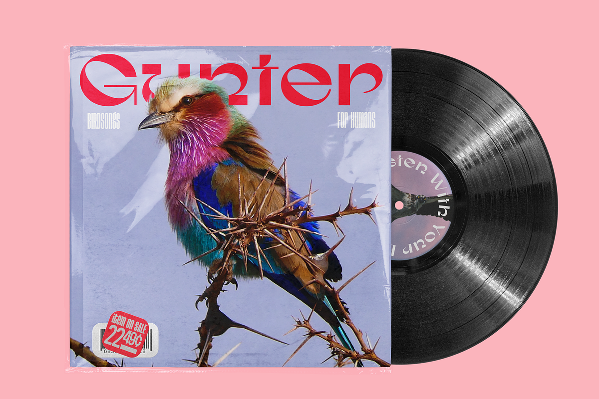 Gunter Display Font, a Sans Serif Font by That That Creative