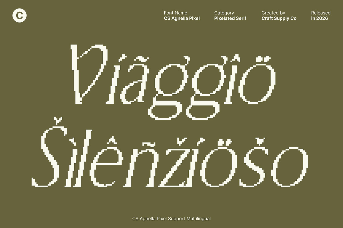 CS Agnella Pixel – Elegant Serif Font