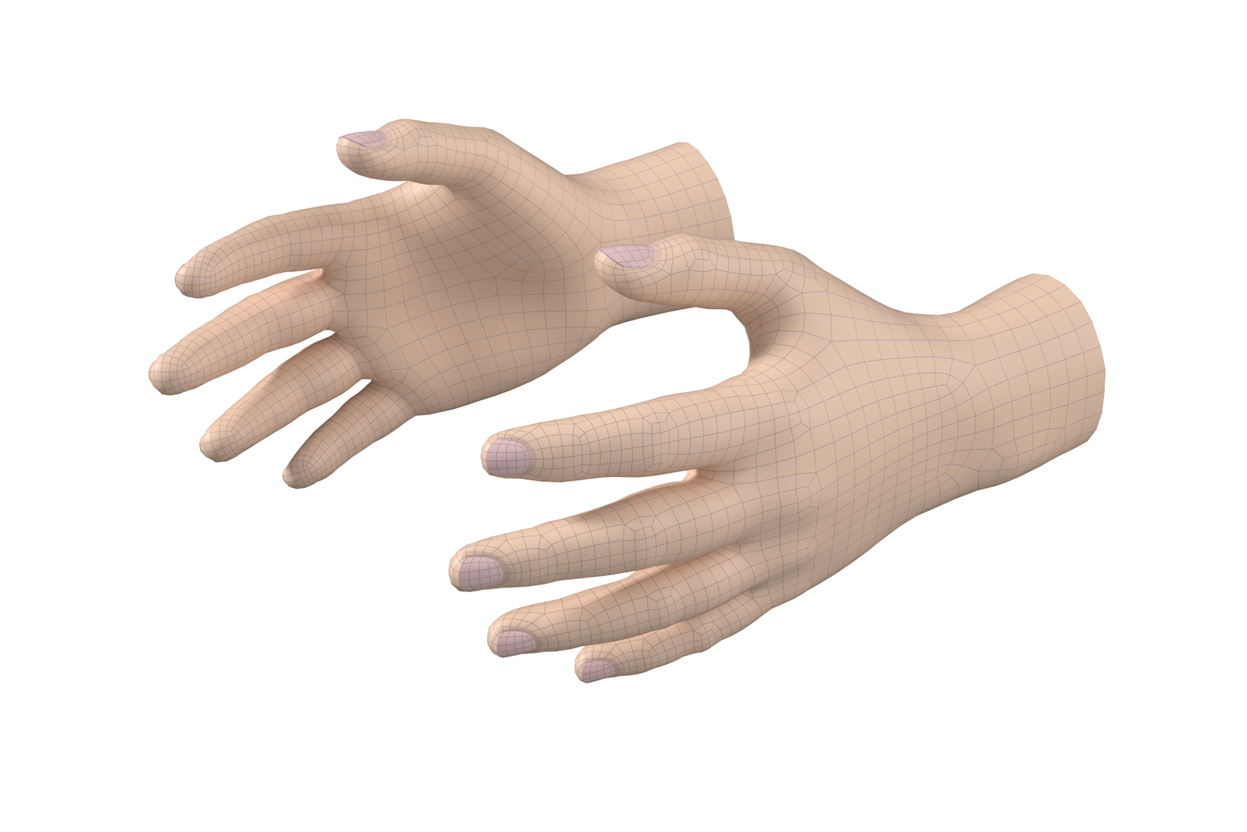 Endomorph Male Hand Base Mesh 01, a Characters & Person 3D Model by VK ...