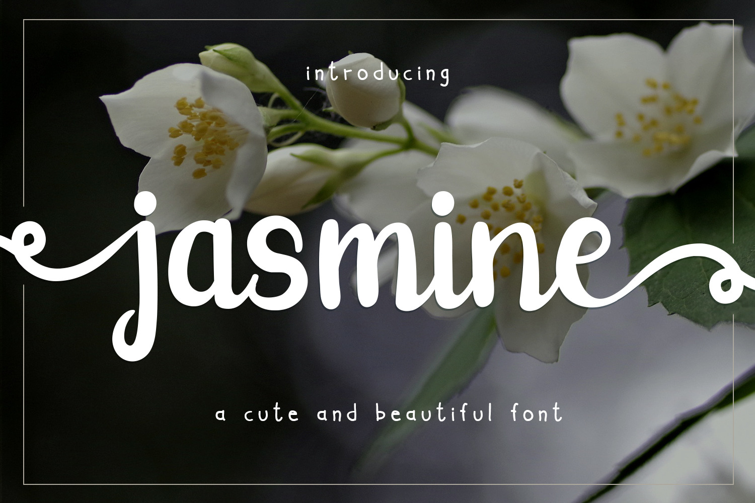 jasmine, a Script Font by LetterJos