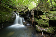 Small waterfall in Sesin river, a Photo by Photoweb00